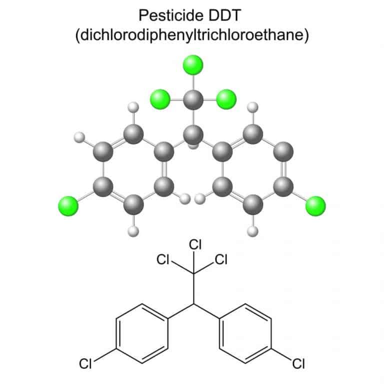Is DDT Biodegradable? - Thinking Sustainably