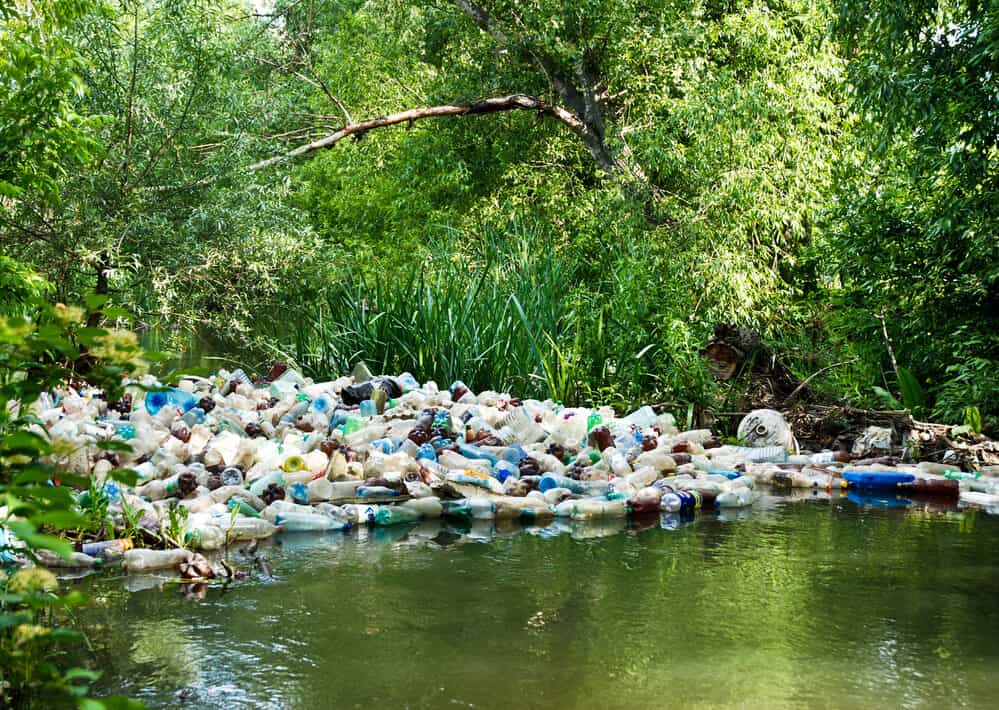 How Is Non Biodegradable Waste Harmful To The Environment Thinking